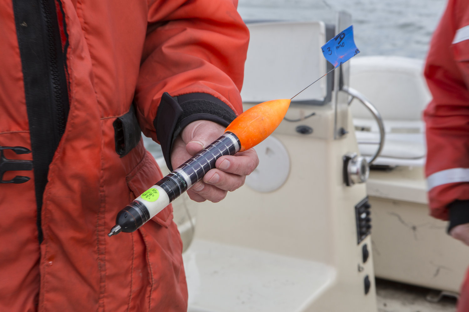 Scientists track prehistoric fish with 21st century satellites | Great ...